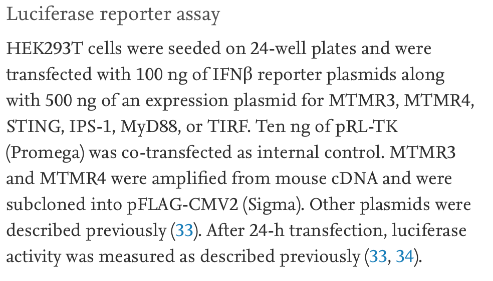 Luciferase assay – ddewipputri